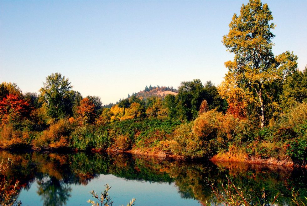 Home - Eugene Parks Foundation